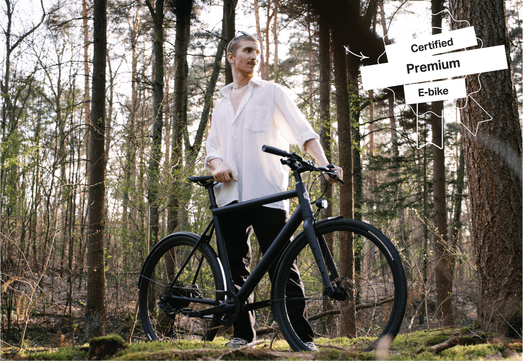 Ampler E-Bikes - Ampler Bikes