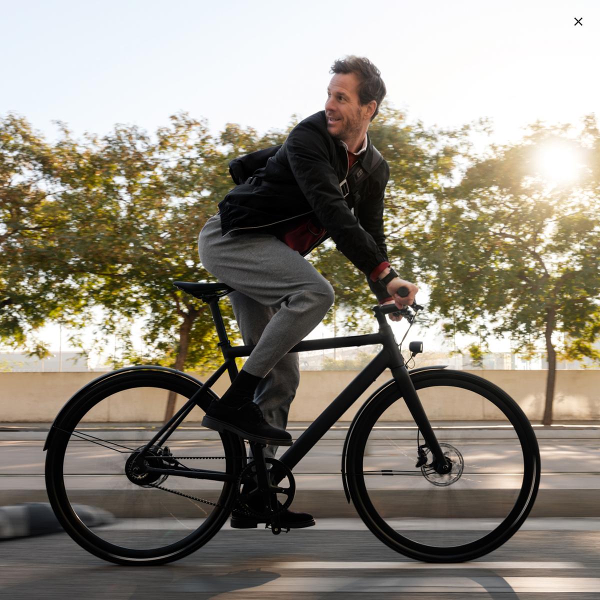 Ampler Stellar: Flexibles City-E-Bike mit niedrigem Rahmen